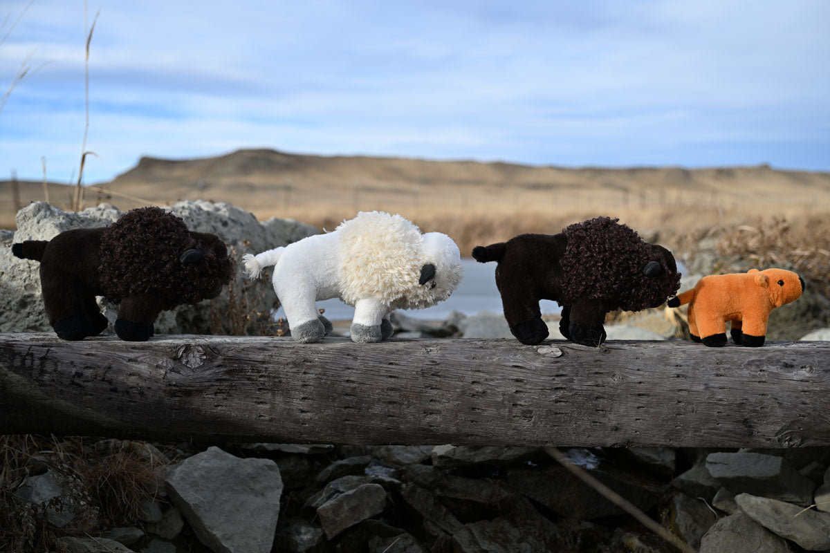 Adopt a Bison: Family Bundle – Adoptabison