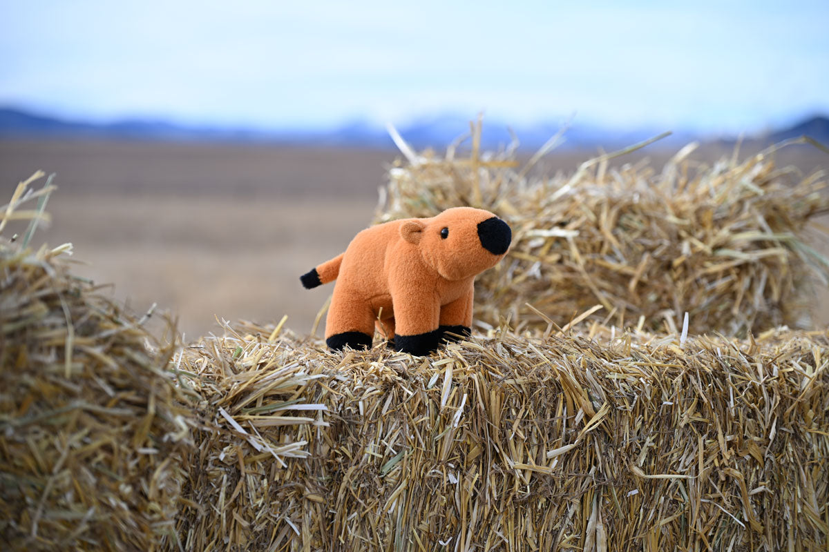 Adopt a Bison: Baby Bison Plushie – Adoptabison